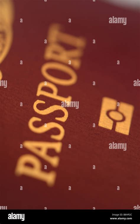 What Is A Biometric Symbol On A Passport At Cody Osborne Blog