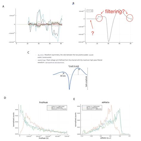 Spike Waveforms In Ibl Bwm Dataset Ibl Neurostars