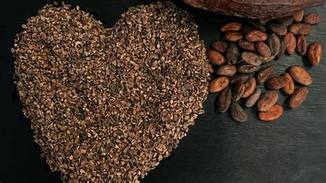Cocoa Runners News