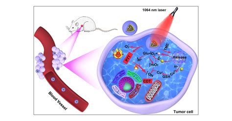 Biomimetic Nanoarchitectonics Of Hollow Mesoporous Copper Oxide Based