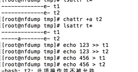 Web Page Chattr Lsattr