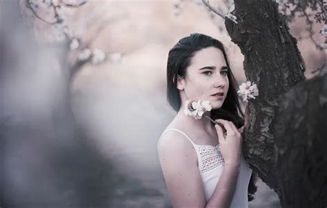 Wallpaper Girl Face Background Tree Model Sakura For Mobile And