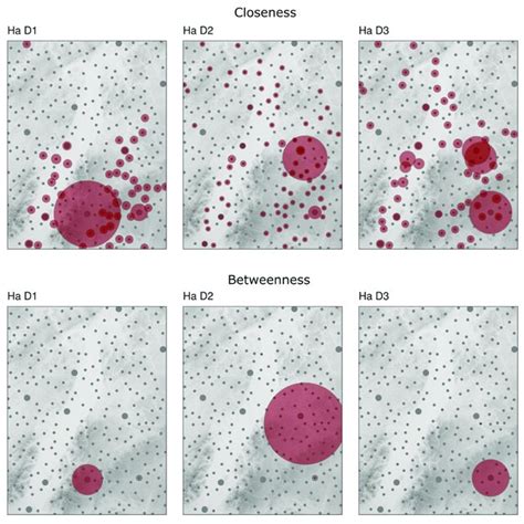 Heatmap Of Distance Matrix For The Full Weighted Graph Of Ha D1