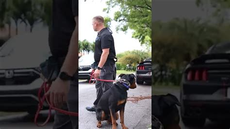 Educate Them Younger In Order That They Dont Make Silly Errors