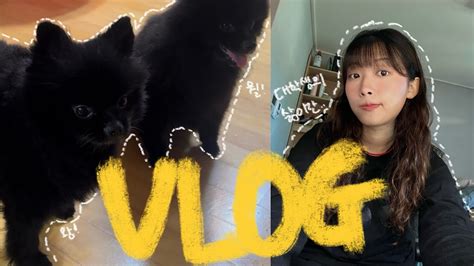 Vlog 대학생 일상 브이로그 ㅣ 토익 시험 ㅣ 청소 빨래왕 ㅣ 과제에 시달리는 대학생의 삶 ㅣ 강아지랑 놀고 요아정 먹는 일상 ㅣ 대학교 3학년 일상이다 이게 Youtube