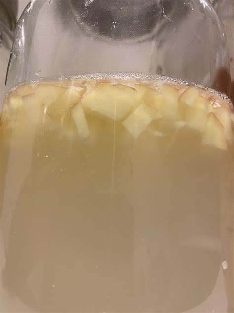 Ginger Bug Getting Viscose Rfermentation