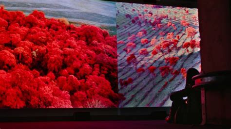 Watch Richard Mosse What The Camera Cannot See Short Doc Film