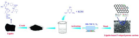 Scheme 1 Schematic Of The Preparation Of The Lignite Based N Doped