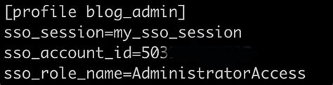 Aws Sso Credentials With Multiple Accounts Dev Community