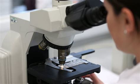 Gene Editing Experiment In Sperm Could End Breast Ovarian And Prostate Cancer Daily Mail Online