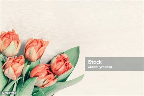 복사 공간이있는 흰색 나무 테이블에 오렌지 튤립의 아름다운 꽃다발 휴일에 부드러운 빛 봄 엽서 맨 위 보기 0명에 대한 스톡 사진 및 기타 이미지 Istock