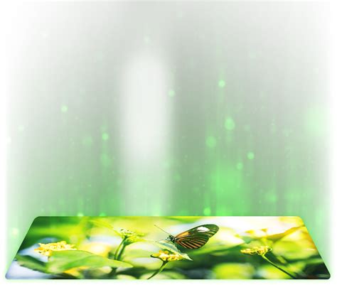 Smartphone Oled Oled Era Smartphone Oled Oled Era