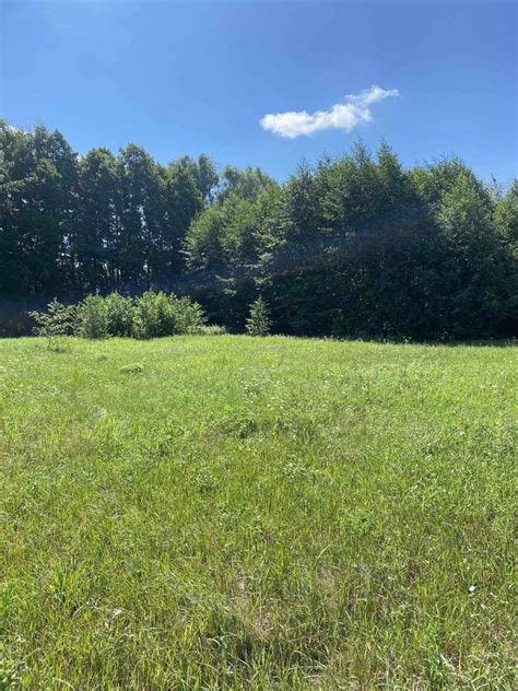 Земельный участок в с Ясногородка 6 000 Продаж землі Ясногородка на Olx