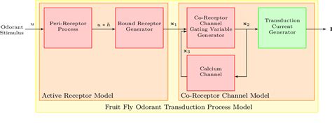 Figure 6 From A Parallel Processing Model Of Drosophila Olfactory
