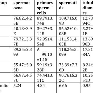 A Cross Section Of The Testis Of Male Rats In The Cisplatin Group Shows Download Scientific