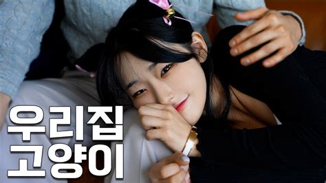 우리집 고양이 보러 갈래 YouTube