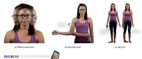 Rotation At Synovial Joints Diagram Quizlet