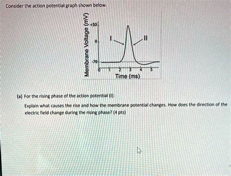 Solved Consider The Action Potential Graph Shown Below 1 4501 1 Time