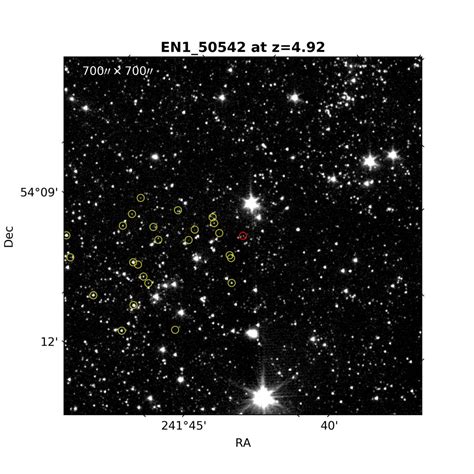 Probing The Mpc Scale Environment Of Hyperluminous Infrared Galaxies At 2