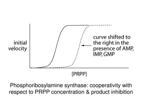 Ppt Prpp Synthetase Powerpoint Presentation Free Download Id 4054252