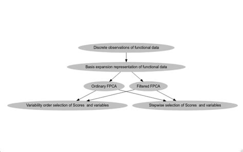 Diagram Of Steps For Functional Principal Components Logit Regression
