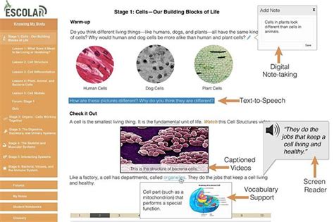 Web Based Interactive Learning Helps Middle Schoolers Excel In Science