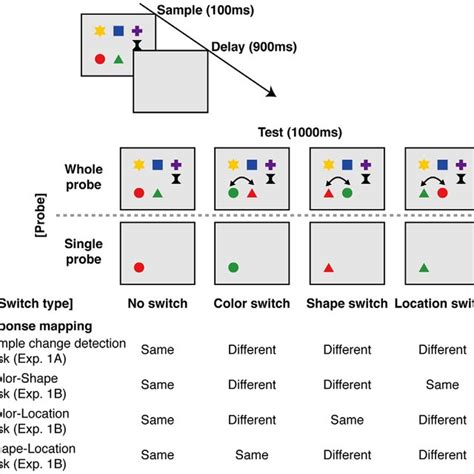 schematic illustration of the relevant feature switch detection task