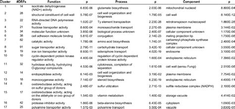clustering by transcript profiles 636 transcript profiles used 515