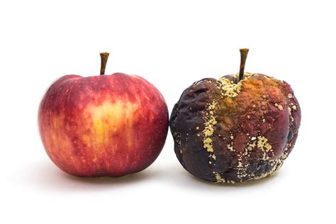 Irish Court Delays Apple Decision Till October 12 Dcd