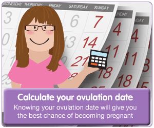 How Can I Calculate My Ovulation Date NREQUA