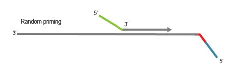 QuantSeq FFPE Gene Expression Profiling Lexogen