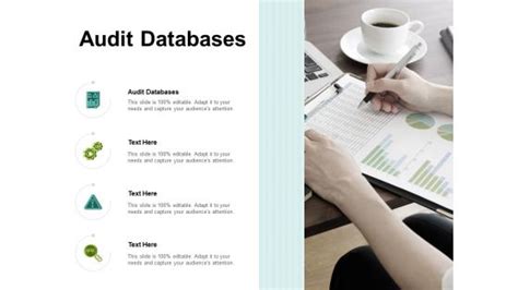 Audit Databases Ppt Powerpoint Presentation Show Samples Cpb Pdf