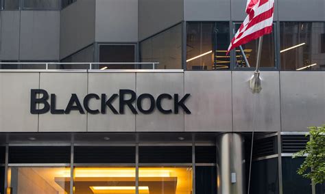 25 Facts About Sporangium