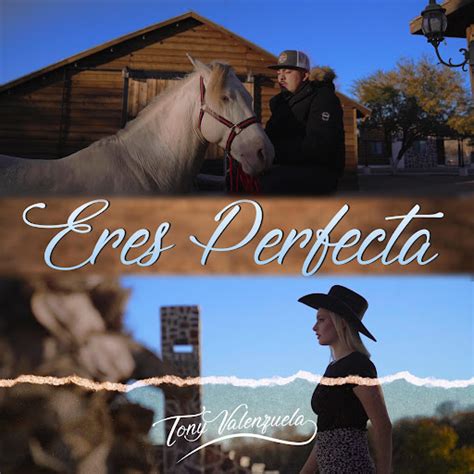 Eres Perfecta Youtube Music