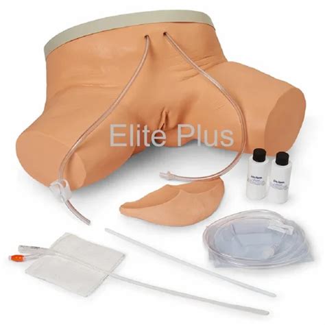 Lf00856 Life Form Female Catheterization Simulator Light At Best Price