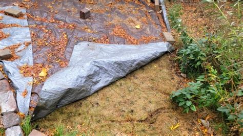 7 Different Weed Removal Methods For Your Garden