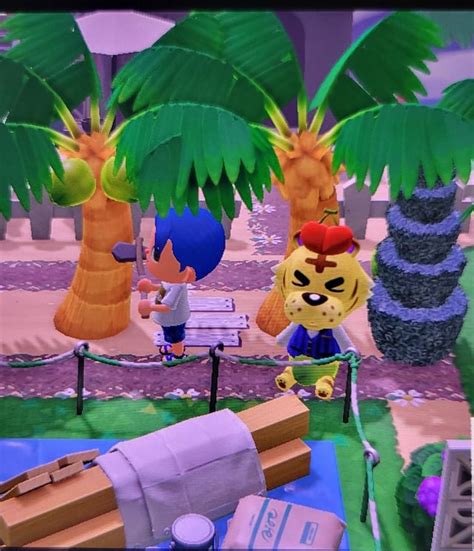 Fun Glitch Ranimalcrossing