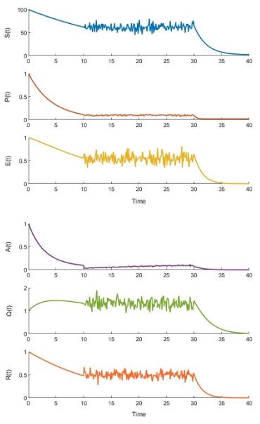 Existence Uniqueness And Numerical Solution Of Stochastic Fractional Differential Equations