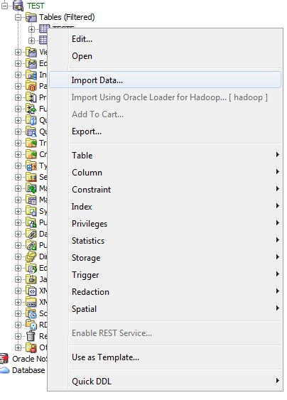 sql developer start training for developers part ii