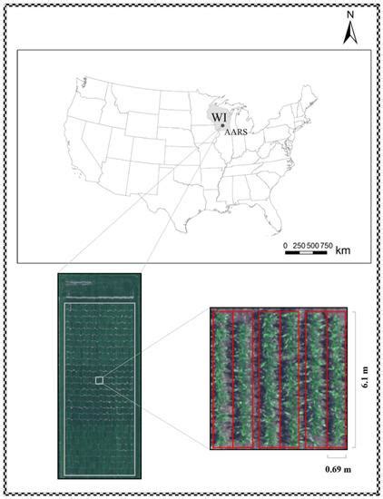 Jiahao Fan On Linkedin Estimation Of Maize Yield And Flowering Time Using Multi Temporal