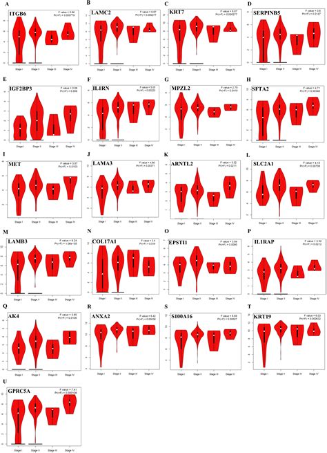 Integrated Transcriptome Meta Analysis Of Pancreatic Ductal Adenocarcinoma And Matched Adjacent