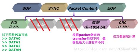 usb 之一 usb2 0 规范详解 第一部分 usb2 0支持最大容量 csdn博客