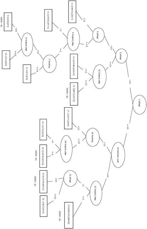 Decision Tree Of Important Factors For Nspmre Classification Using The