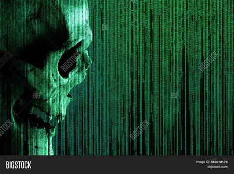 human skull on green image and photo free trial bigstock