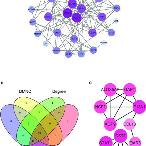 A Ppi Network Of Degs B The Venn Diagram Of 13 Hub Genes Obtained