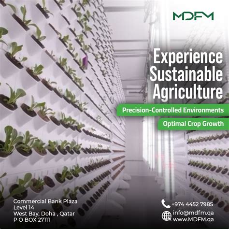 Mdfm Liquid Tree Technology Is A New Way To Improve The Environment
