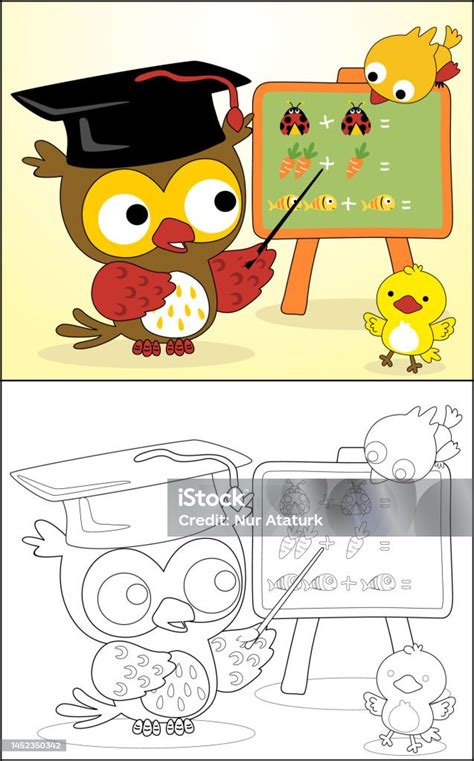 색칠하기 책 또는 새 만화 페이지 작은 새들에게 수학을 가르치는 졸업 모자를 쓴 올빼미 공부에 대한 스톡 벡터 아트 및 기타 이미지 공부 교사 교육 관련 직업 교습
