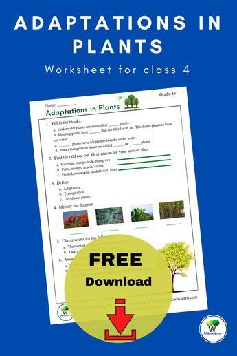 Adaptation In Plants Class 4 Worksheets