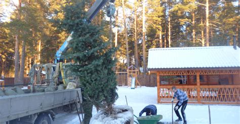 Плодопитомник Прогресс