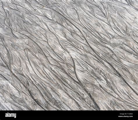 Sedimentary Fluid Sand Flows Mars Like Water Fluvial Ridge Patterns On A Tidal Beach For Go